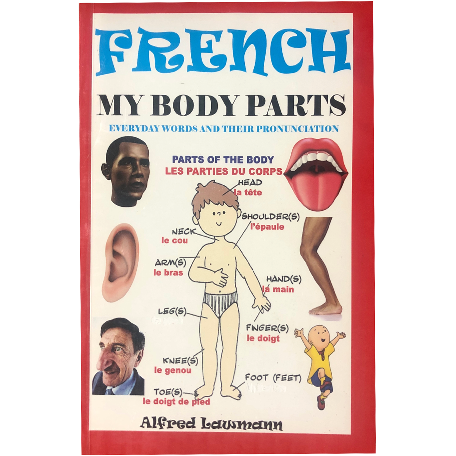 French - My Body Parts | Kingdom Books and Stationery Ltd