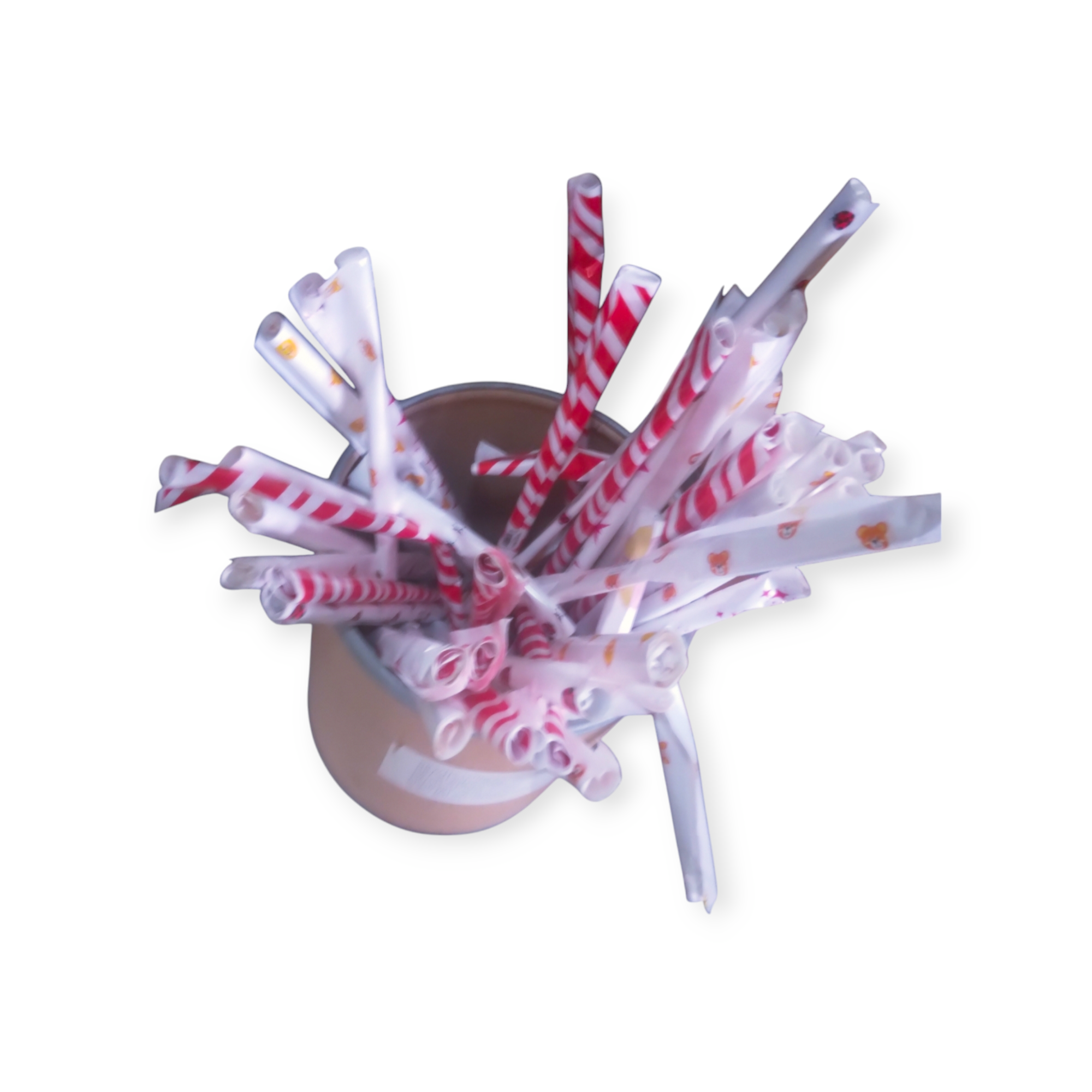 Gift Wrapper | Kingdom Books and Stationery Ltd